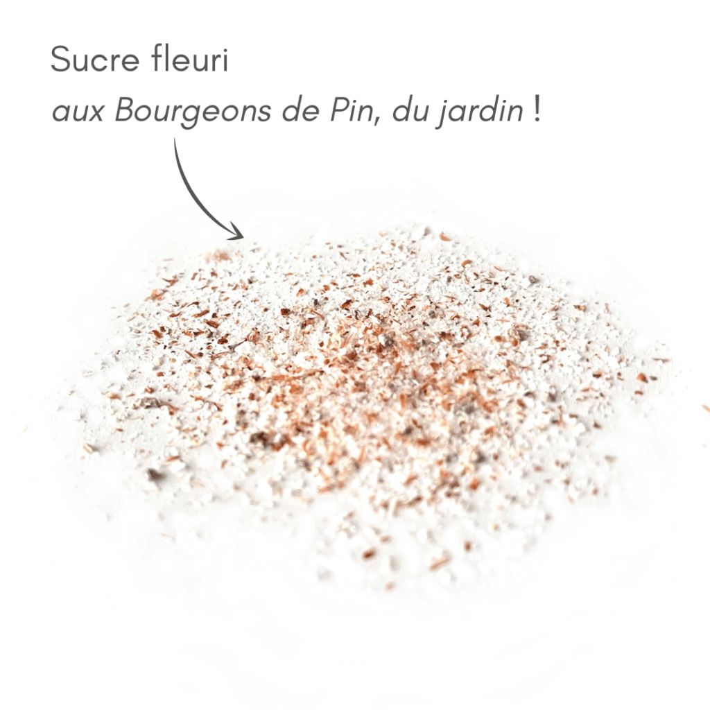 Sucre aux bourgeons de pin — LE JARDIN E(S)T LA RECETTE