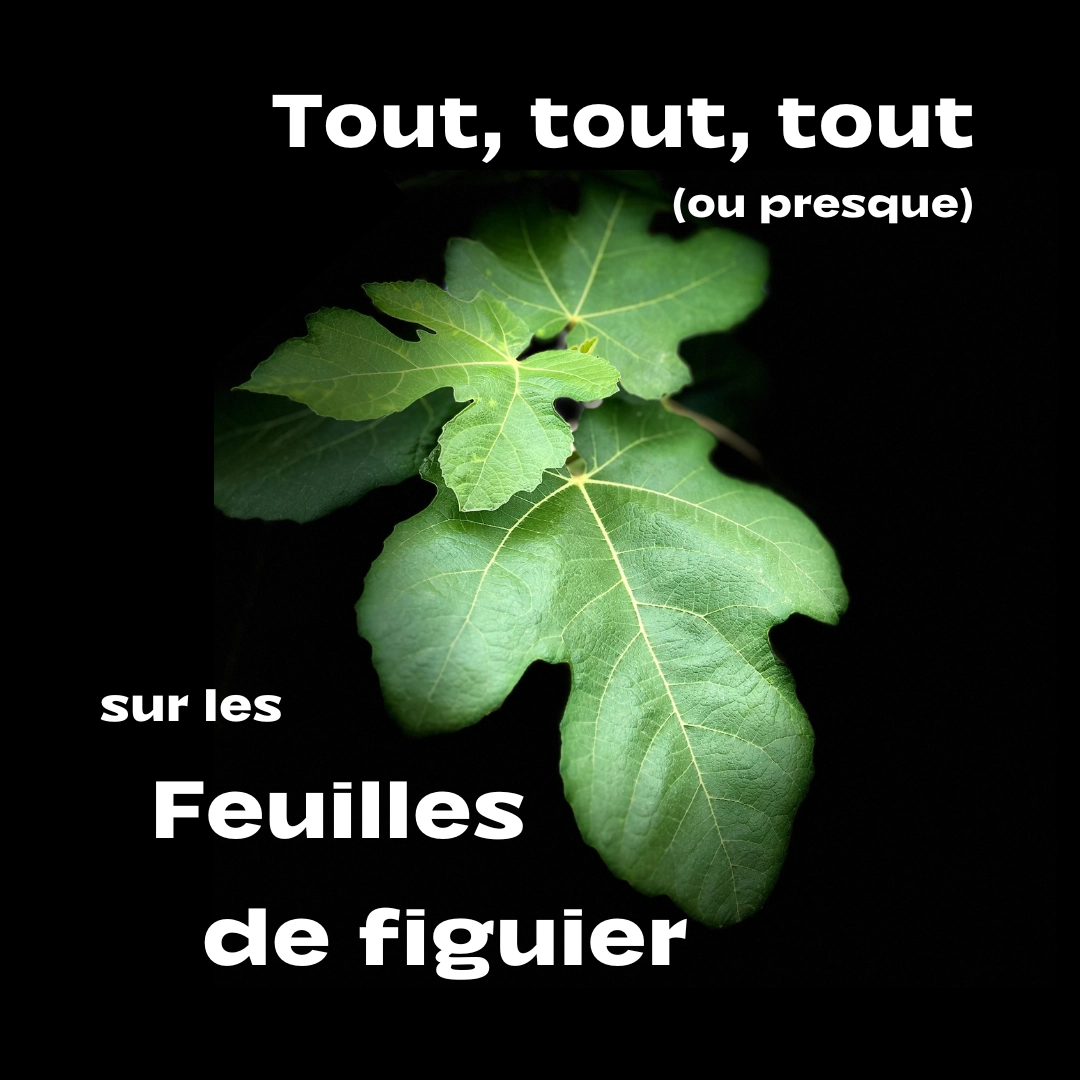 Tout sur les FEUILLES DE FIGUIER - Livre digital imprimable — LE JARDIN ...
